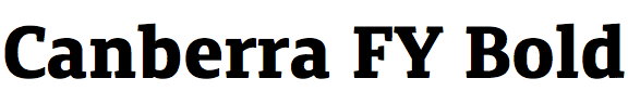 Identifont - FF Meta Serif Black