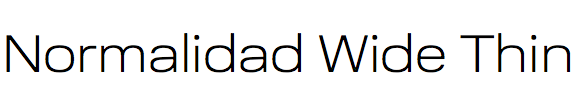 Identifont - Normalidad Text Thin