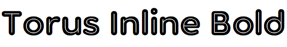 Identifont - Torus Inline Heavy