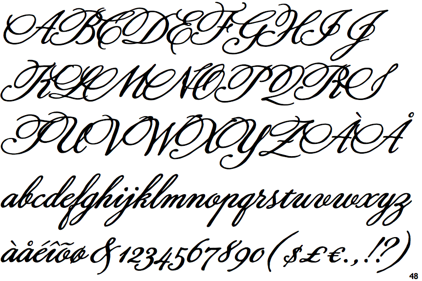 Identifont - Lily Wang