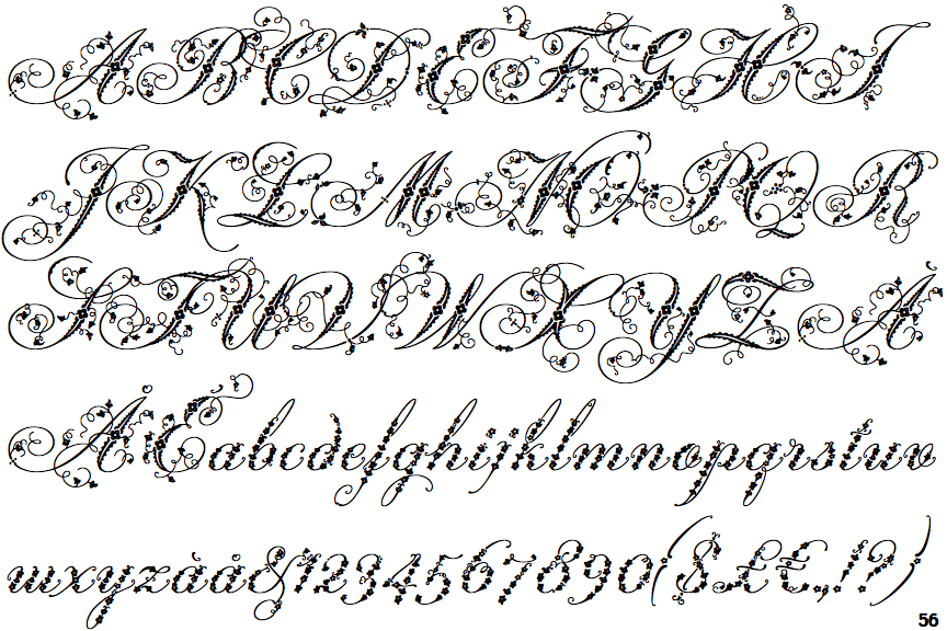 Flourish Fonts Flourish Word Typography Style Vector | Free Vector