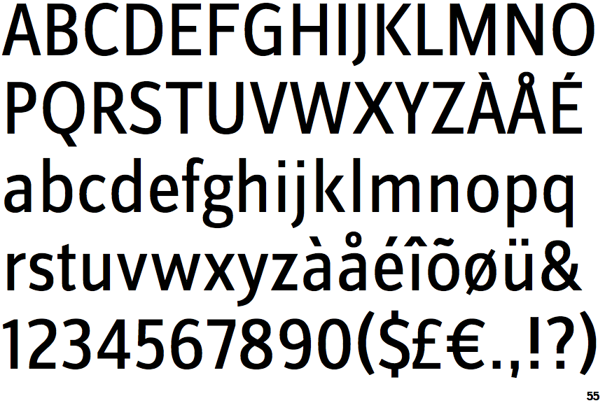 Identifont - FF Zine Sans Display