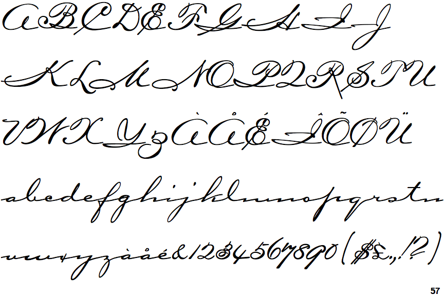 Carpenter Script Font Premium Vector | Editable Text Effect Wood, 3d