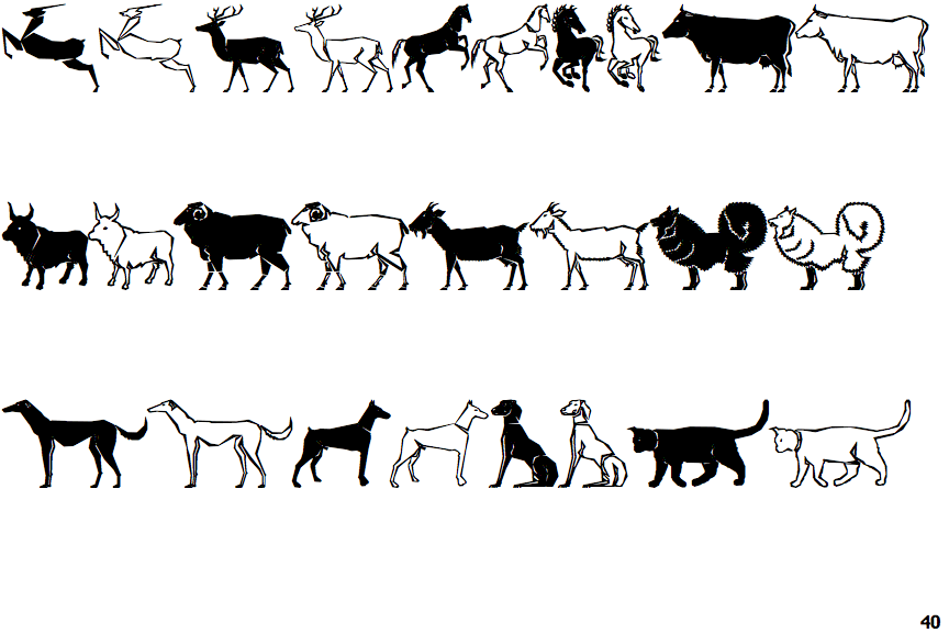 Identifont - Polytype Animals One