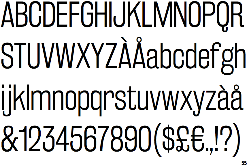 Identifont - Rakesly Light