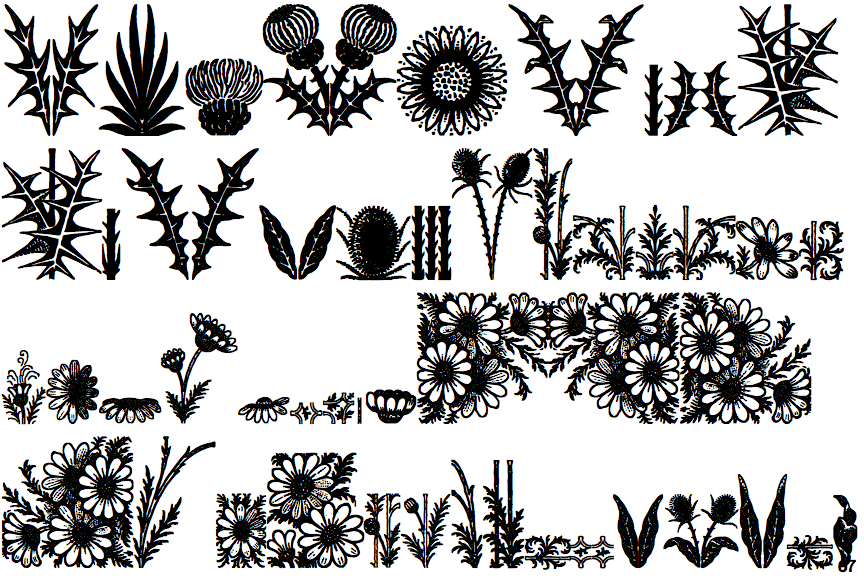 Identifont - Thistle Borders